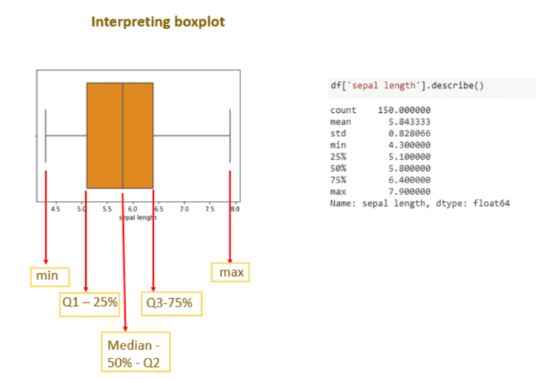 Univariate and Bivariate Analysis using Seaborn - SheCanCode