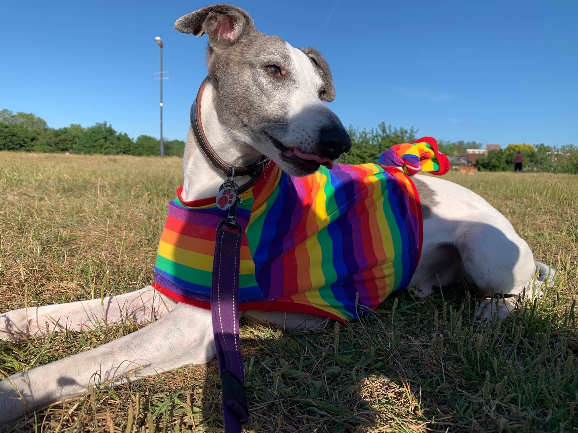 Celebrating Pride in Tech: Meet Elisha Foust - SheCanCode