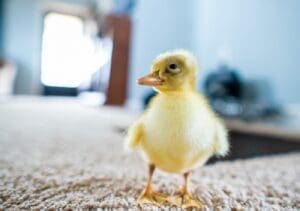 Finding It Difficult To Learn Programming Here S Why Shecancode